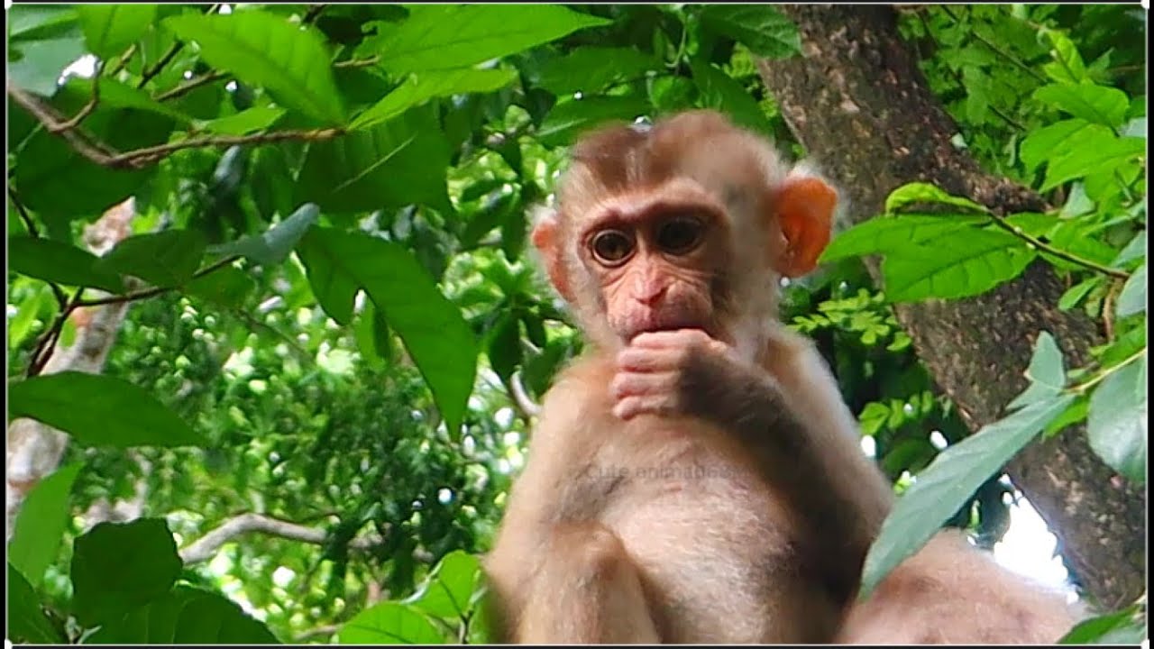 Baby Zuri use normally life with out Amanda walk to anywhere - YouTube