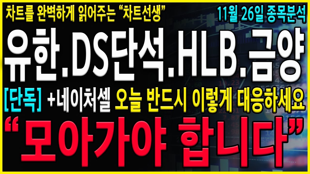 유한양행 Ds단석 Hlb 금양 네이처셀 주가 전망 긴급 와 이런게 있었네요 반드시 지금구간 제대로 대응전략을
