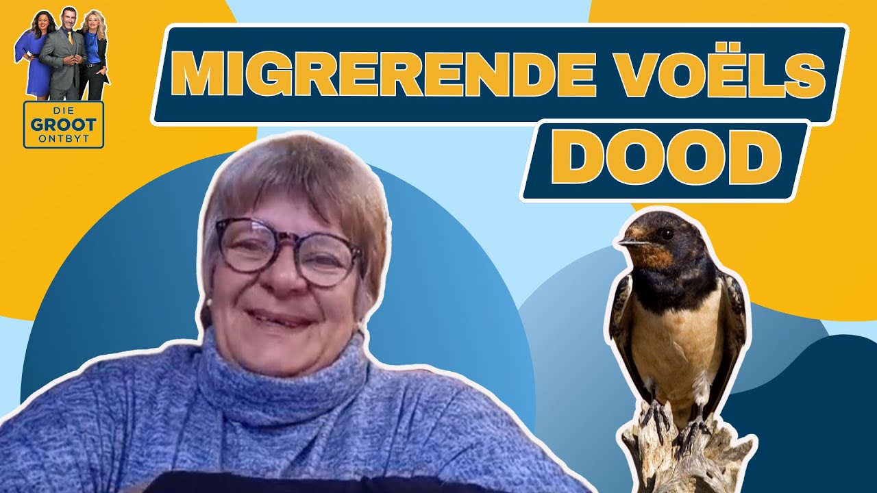 Migrerende voëls dood | Judy Davidson | 30 November 2023 - YouTube