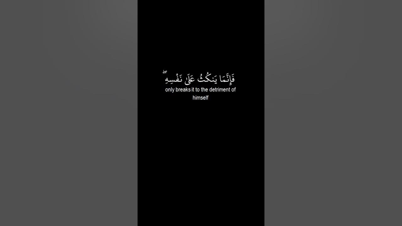 ان الذين يبايعونك انما يبايعون الله محمد صديق المنشاوي سورة الفتح
