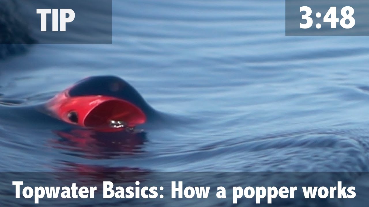 Topwater Basics: How a Popper Works - YouTube