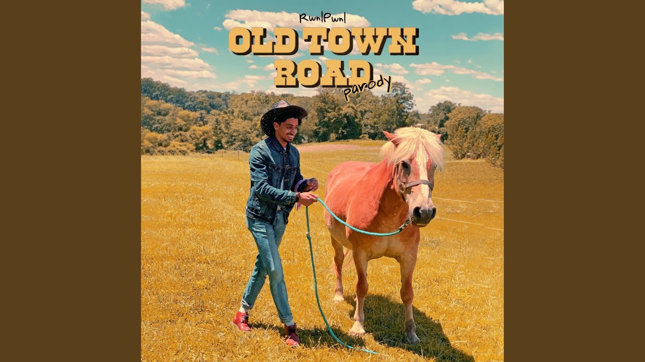 HAVE SOME GOSHT (Old Town Road Parody) - YouTube