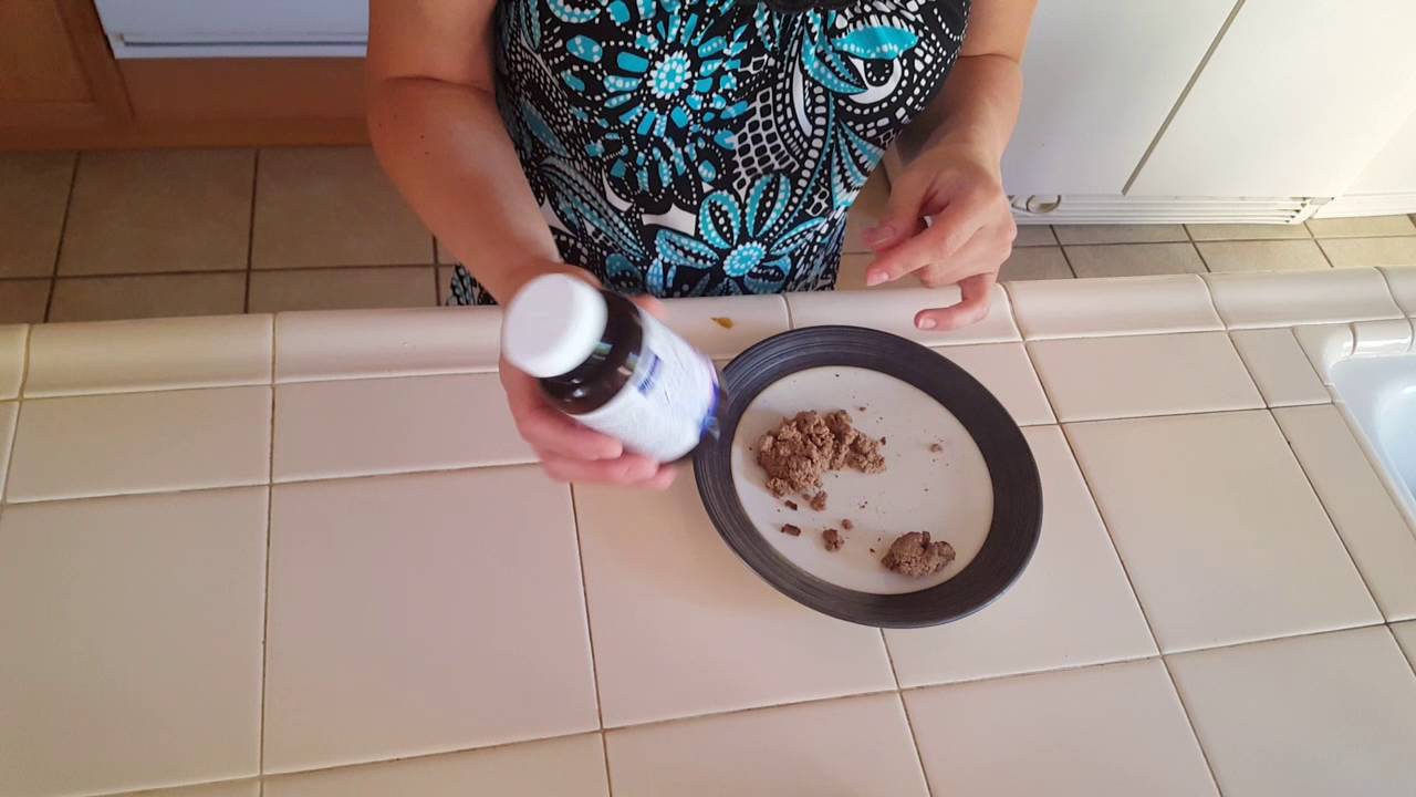 Video Review: Vetasyl, fiber supplement for cats and dogs - YouTube