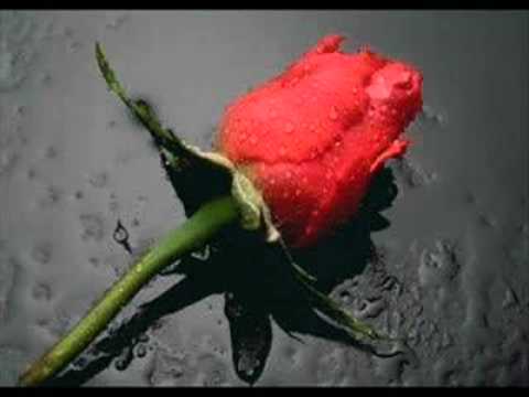 Hatice - Haram Geceler