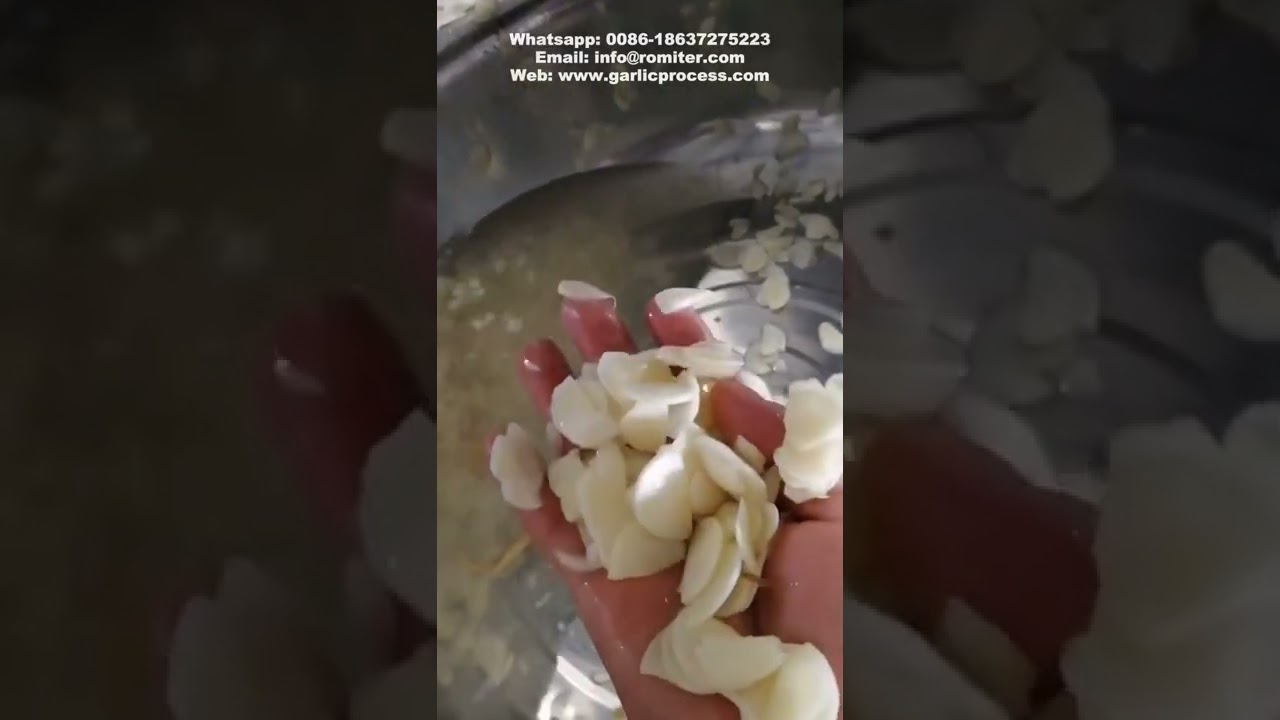 High Speed Garlic Slicing Machine-How to Cut Garlic Slices - YouTube