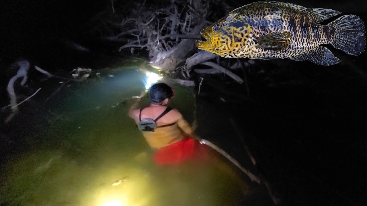 PESCA NOCTURA DE GUAPOTES EN RÍO SALVADOREÑO CON ARPÓN Y VARILLA - YouTube