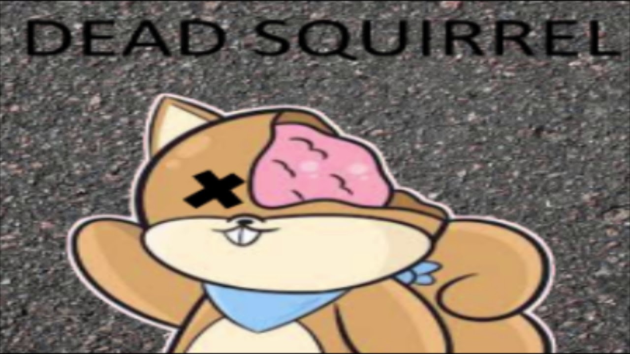 Dead squirrel meme - YouTube