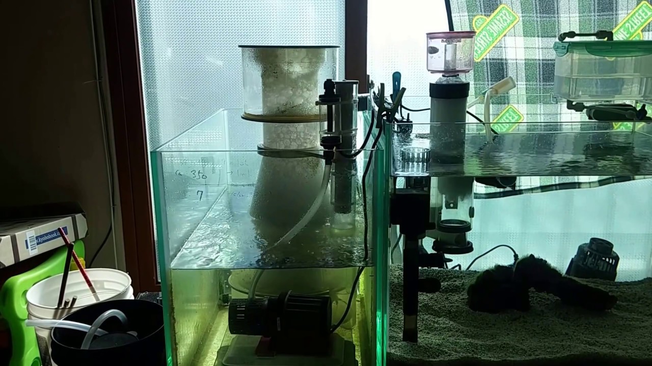 DIY Skimmer AND Remodeled Skimmer - YouTube