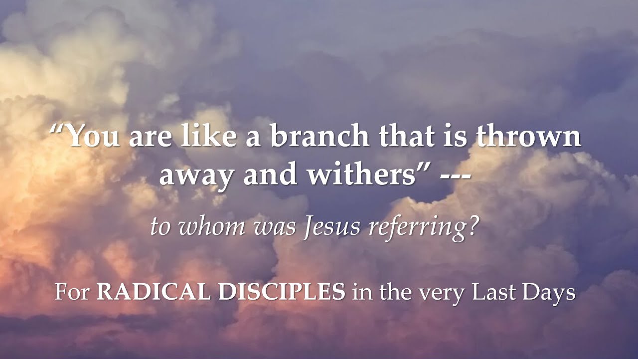 14 Radical Disciples 18Feb2023 - What did Jesus mean by "you are like a ...