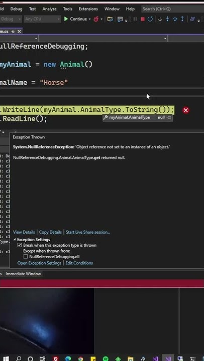 How To Debug Null Reference Exceptions - YouTube