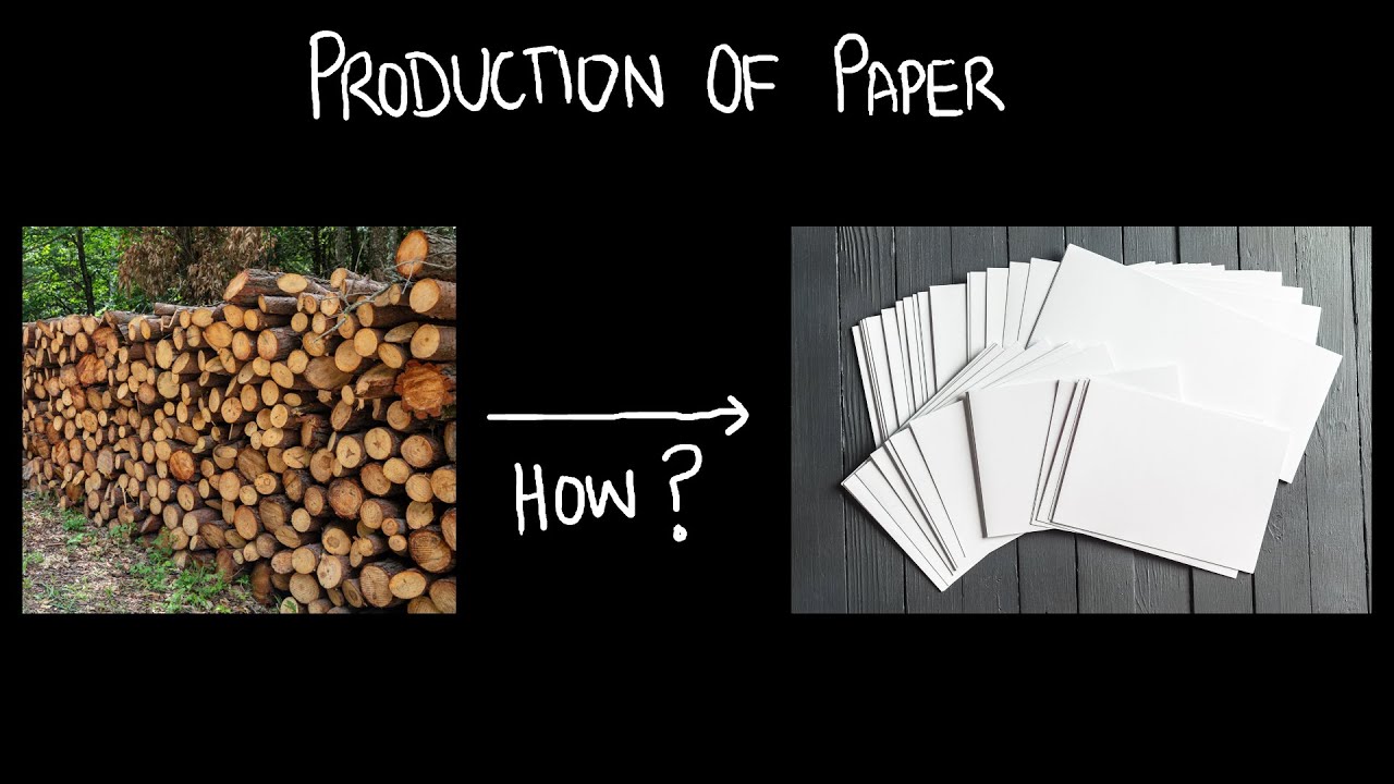 Production of Paper | Substances in Daily Use | Middle School | Science ...