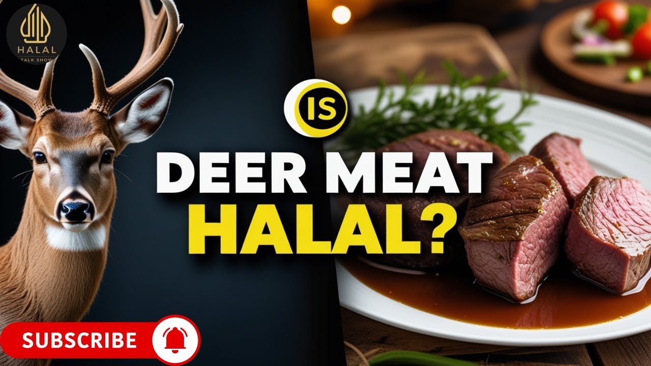 Is Deer Halal? Islamic Ruling on Venison Meat - YouTube