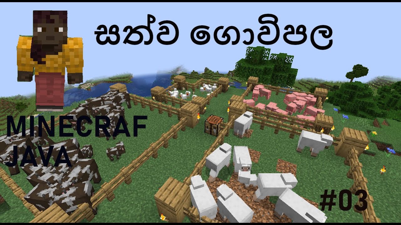 සත්ව ගොවිපල|MINECRAFT JAVA|#03 - YouTube