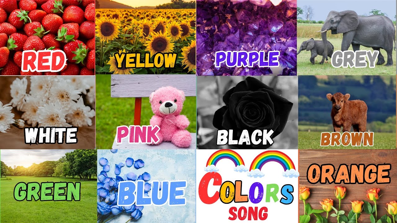 Color song for kids | We Love all the Colors | Nursery Rhymes | Red ...