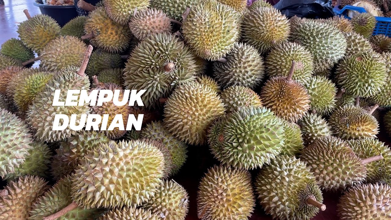 LEMPUK DURIAN | DURIAN PASTE - YouTube