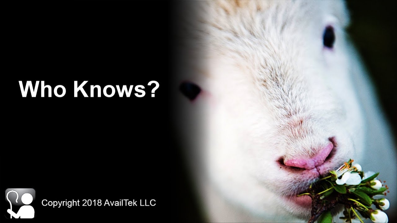 Who Knows YouTube who-knows-youtube