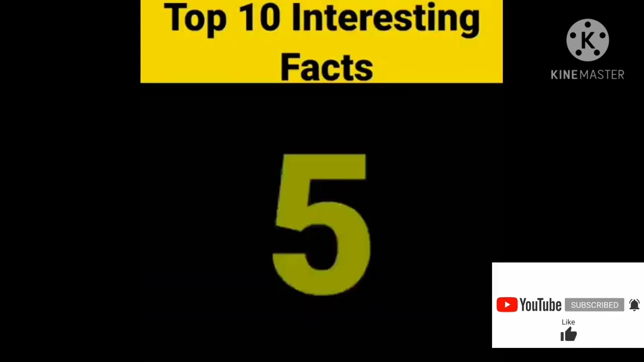 Top 10 Interesting Facts Youtube