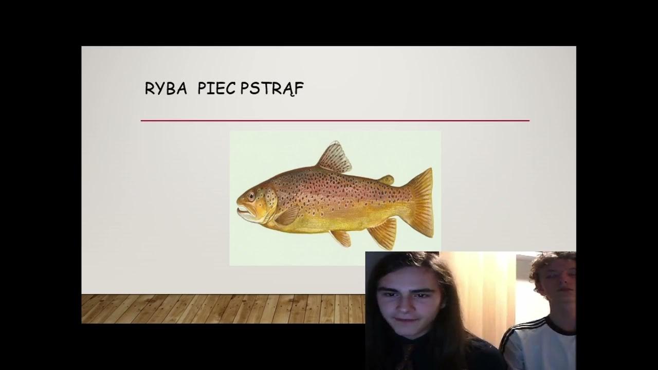 10 ryb kture lubie - YouTube