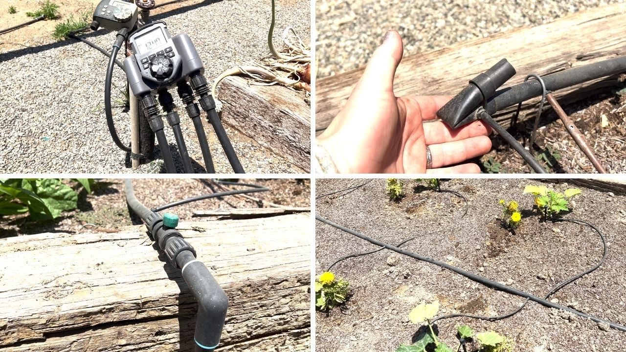 How to Set Up an Automatic Irrigation System in Your Garden - YouTube