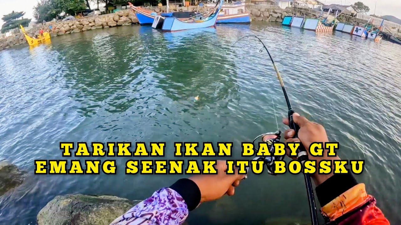 Mancing sore gacor!! Mancing tehnik pelampung umpan udang hidup ...