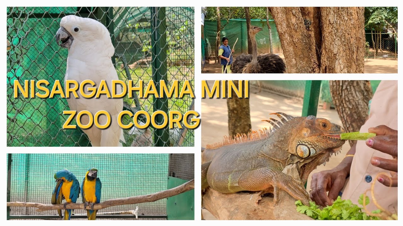 Nisargadhama Mini Zoo Coorg Tourist Places Travel Diaries- 3 #zoo # ...
