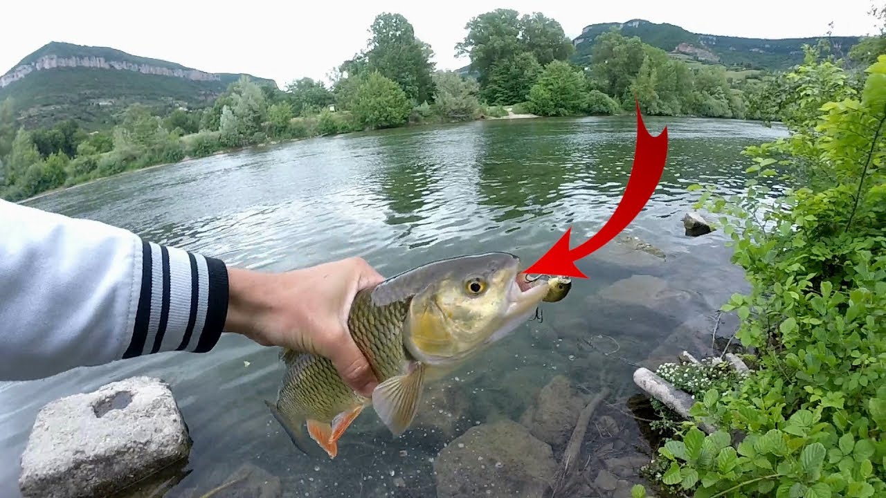 30 MINUTES TOP CHRONO: J'ATTRAPE UN POISSON ÉTRANGE ! - YouTube