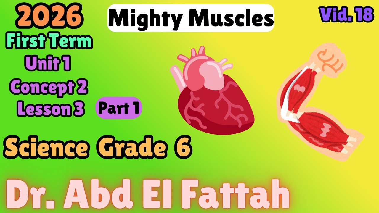 ساينس سادسة ابتدائى ترم اول Grade 6 Science Concept 2 Lesson 3 | Mighty ...