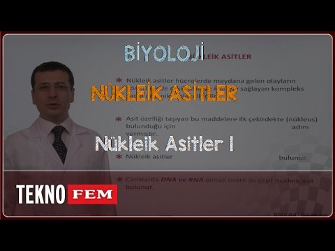 YGS-LYS BİYOLOJİ - Nükleik Asitler 1