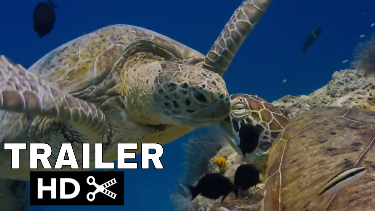 Disneynature's Dolphins Official Trailer #1 {2017} - YouTube