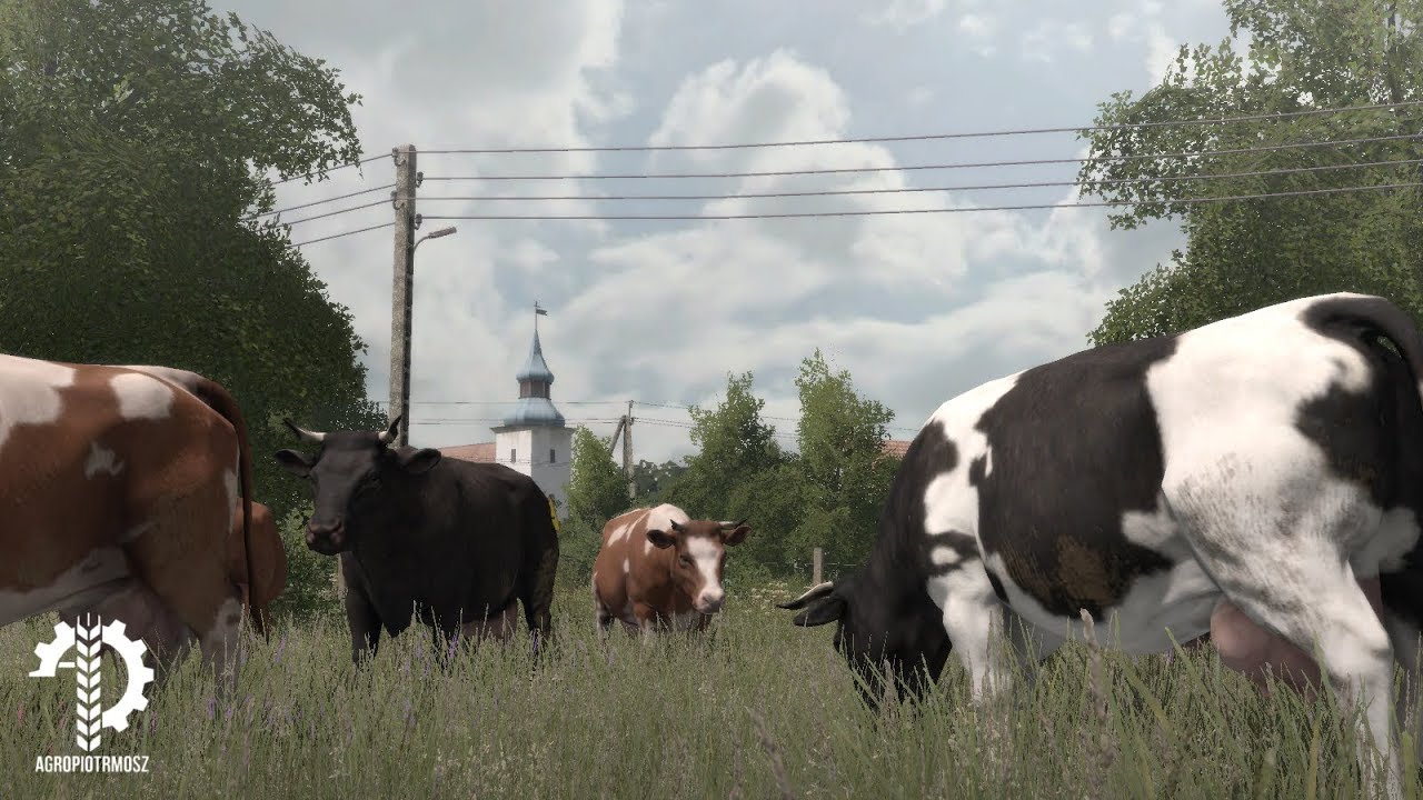 🔴 Kariera Na DolnoŚlĄskiejwsi 🚜 Farming Simulator 17 Youtube
