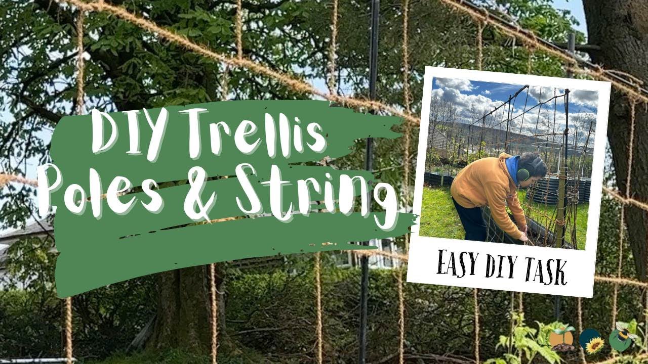 How To Build A DIY Trellis From Poles and String. - YouTube