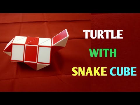 How to make Turtle with Smiggle Snake Cube | Tortoise on Rubiks Snake ...