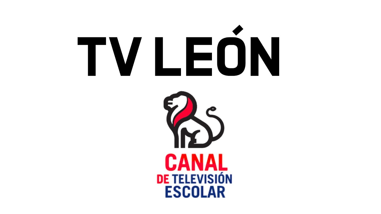 Noticias de TV León - YouTube