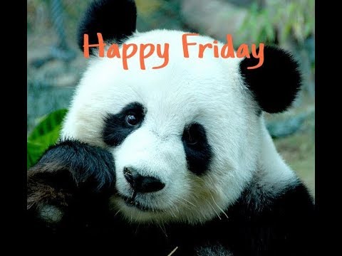 Friday Frolics 12-1-2017 by Gayle Thompson - YouTube