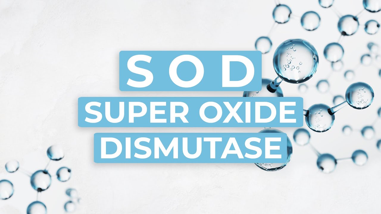 SOD Super Oxide Dismutase |AETHEION - YouTube