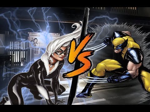 BLACK CAT VS. WOLVERINE - INTENSE BATTLE OF PREDATORS ! - YouTube