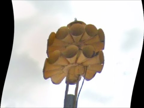 the random siren shorts 18.