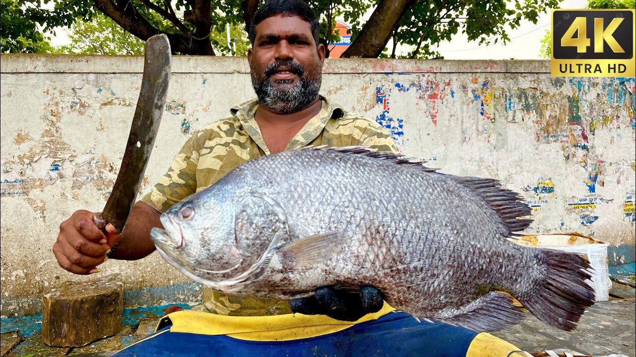 Kal koduva fish cutting video/fishcuttingrs#fishcuttingrs #fish # ...