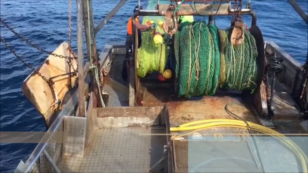 Ocean Fish Trawl - New South Wales, Australia. - YouTube