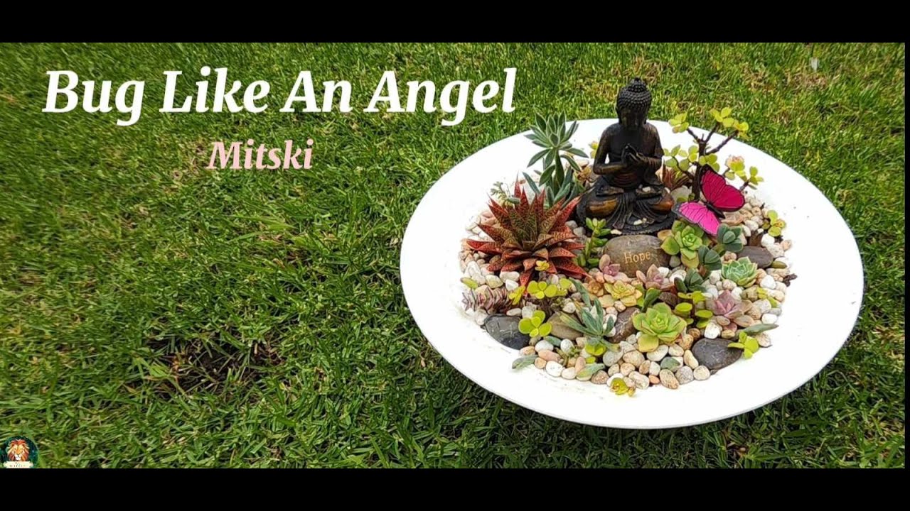 Mitski - Bug Like an Angel ( Lyrics ) - YouTube