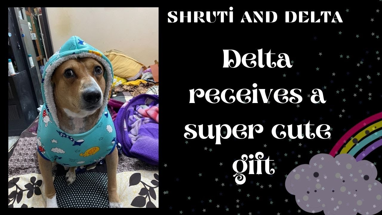 Delta receives a super cute gift from a friend | Funny dog video | Try ...