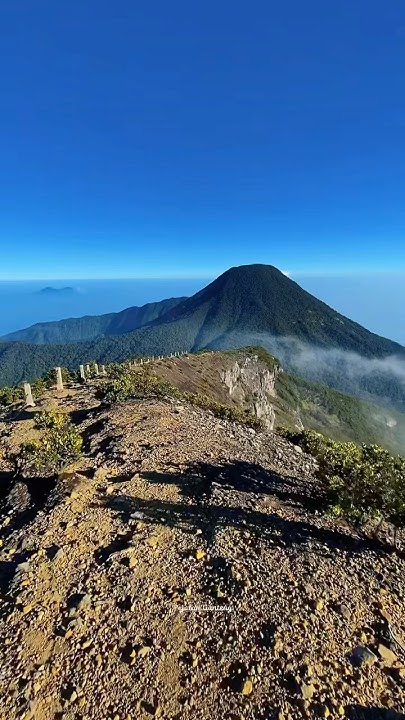 Keindahan Gunung Gede Pangrango #pendaki #gedepangrango #petakagununggede - YouTube