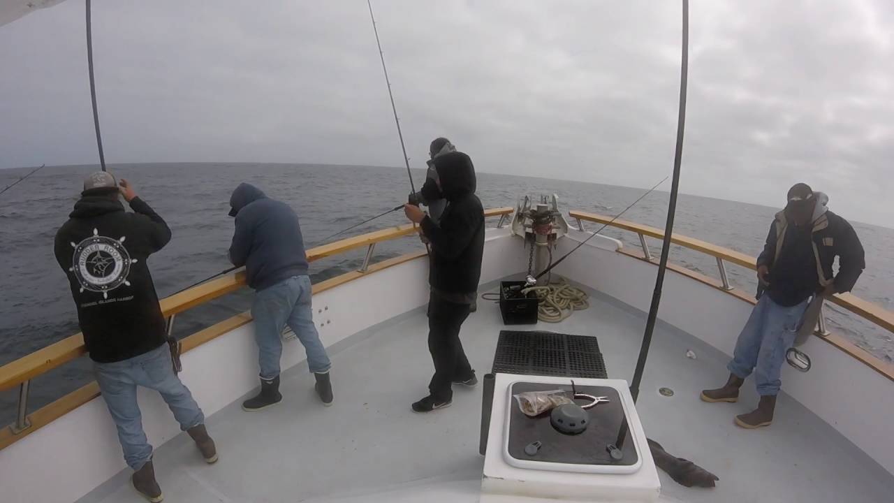 ray j and phenix rods 2 day rock fishing trip on the constitution at ...