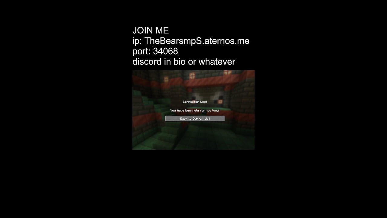 THE BEAR SMP ANARCHY - YouTube