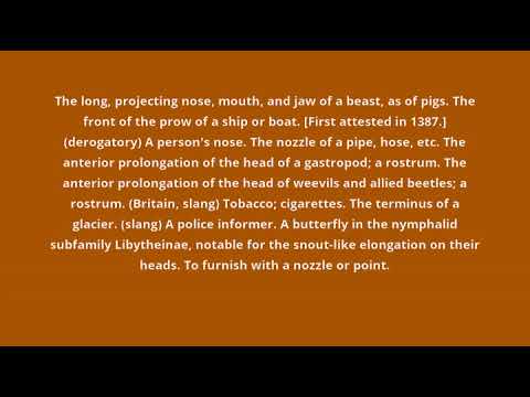 what is the meaning of snout - YouTube