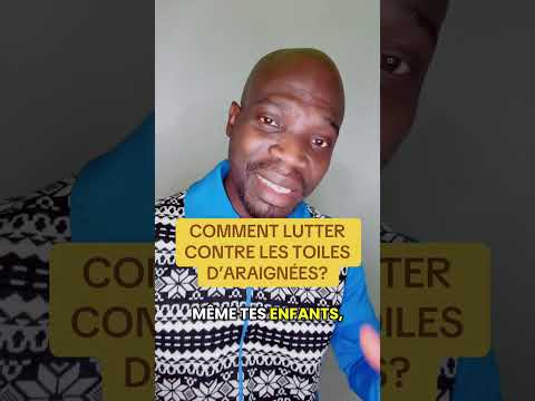 COMMENT LUTTER CONTRE LES TOILES D’ARAIGNÉES?