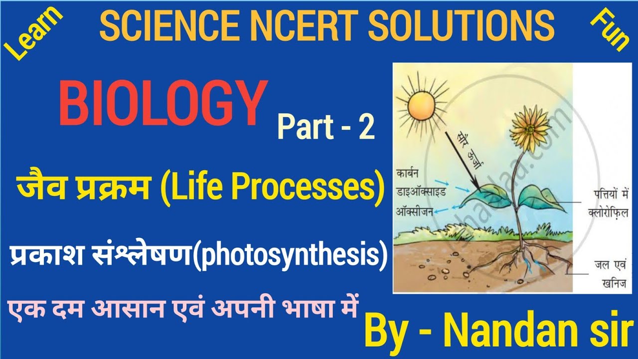 Class 10th Biology chapter 1 / Photosynthesis class 10th Life processes ...