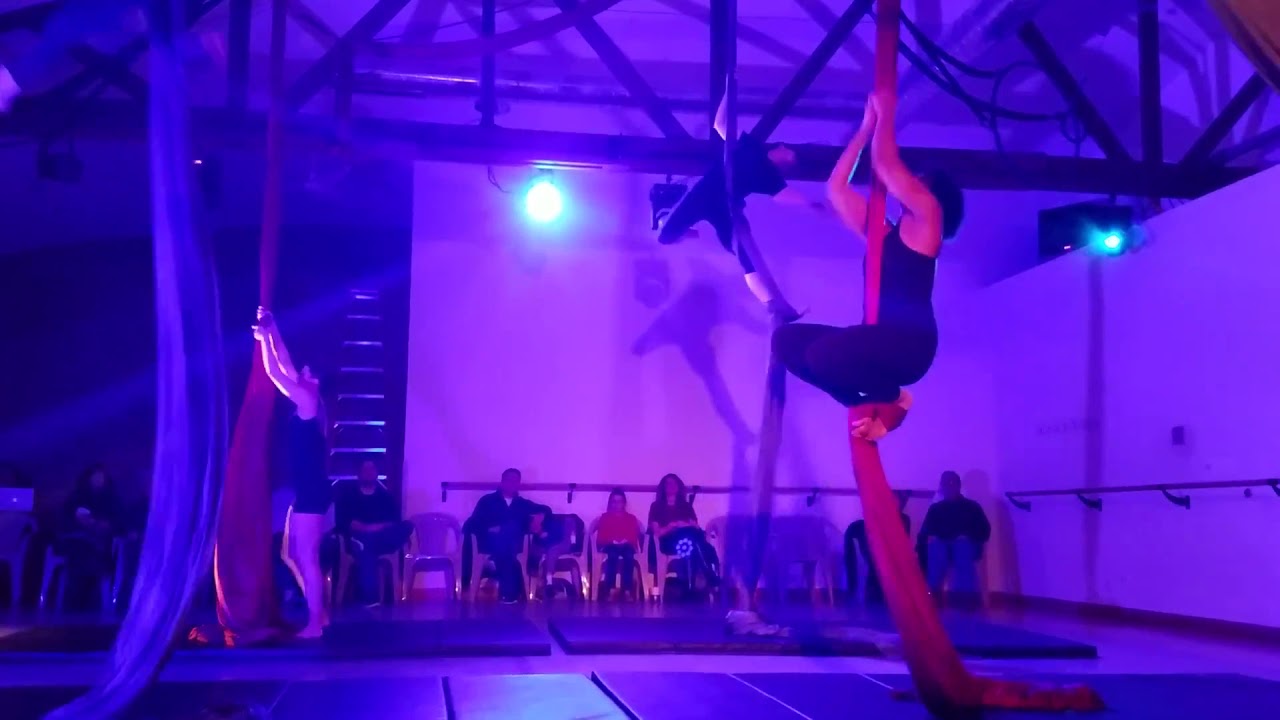 Aerial Dance Chicago Recital Dec '19 - YouTube