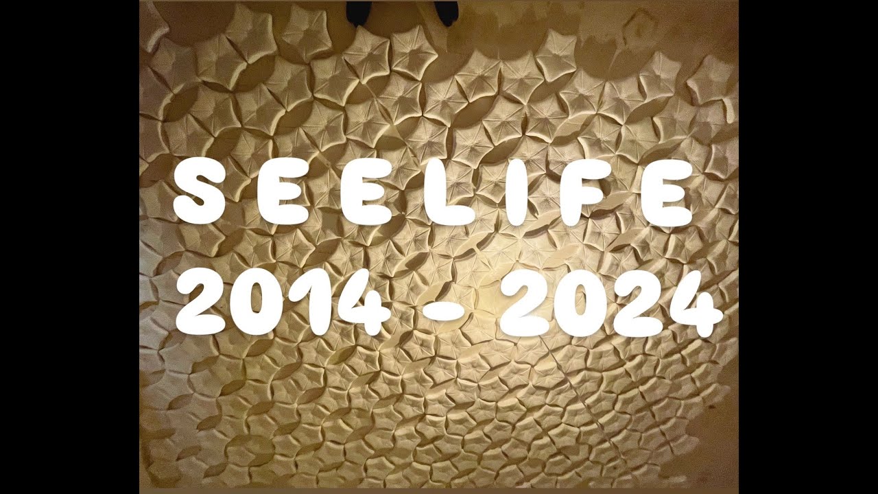 SEELIFE (art of Charlie Callahan) - YouTube