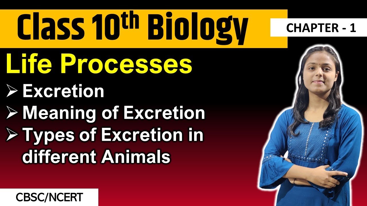 Class 10th biology | Life Process | Excretion | Types Excretion in ...